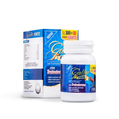 Aves Archives - Adler